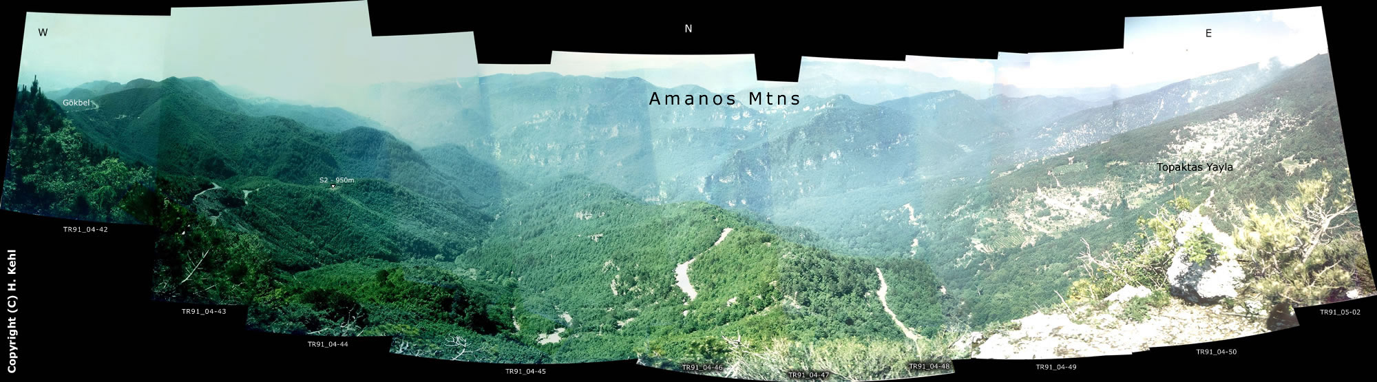 Amanos Mountain (SE-Turkey): List of Plant Species - Page 3